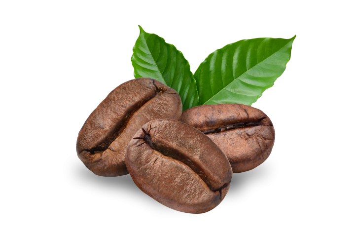 Berry and Leaf – Premium Instant Coffee
